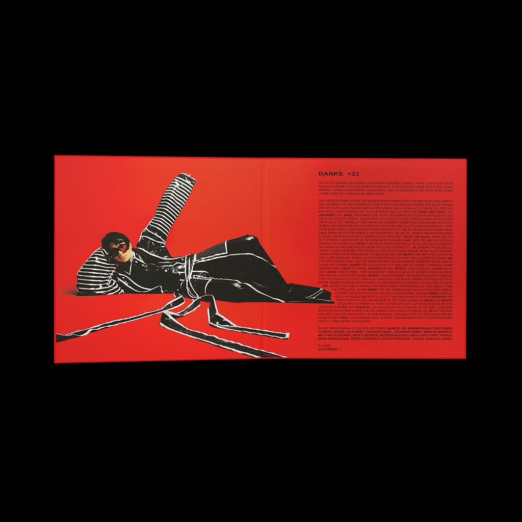 Bibiza Wiener Schickeria 2LP Vinyl Rot | krasserstoff.com